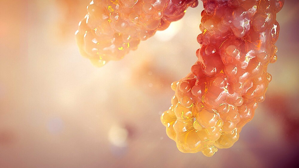 Hyperbaric Oxygen Therapy Reverses Biological Aging